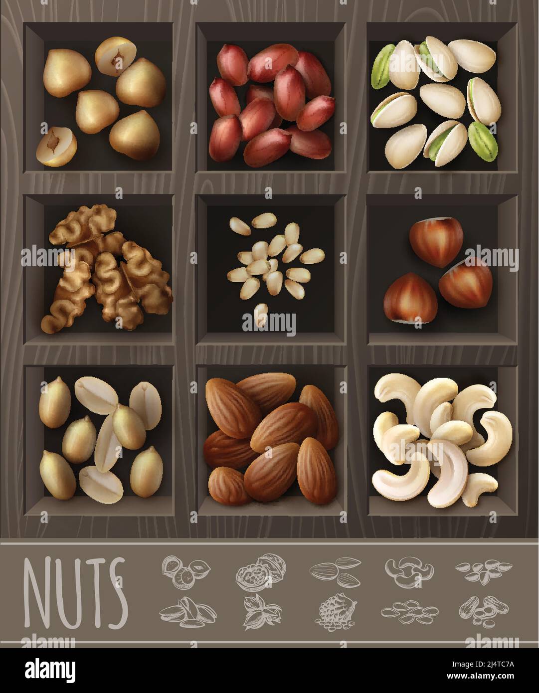 Realistic organic nuts advertising template with walnut peanut almond ...