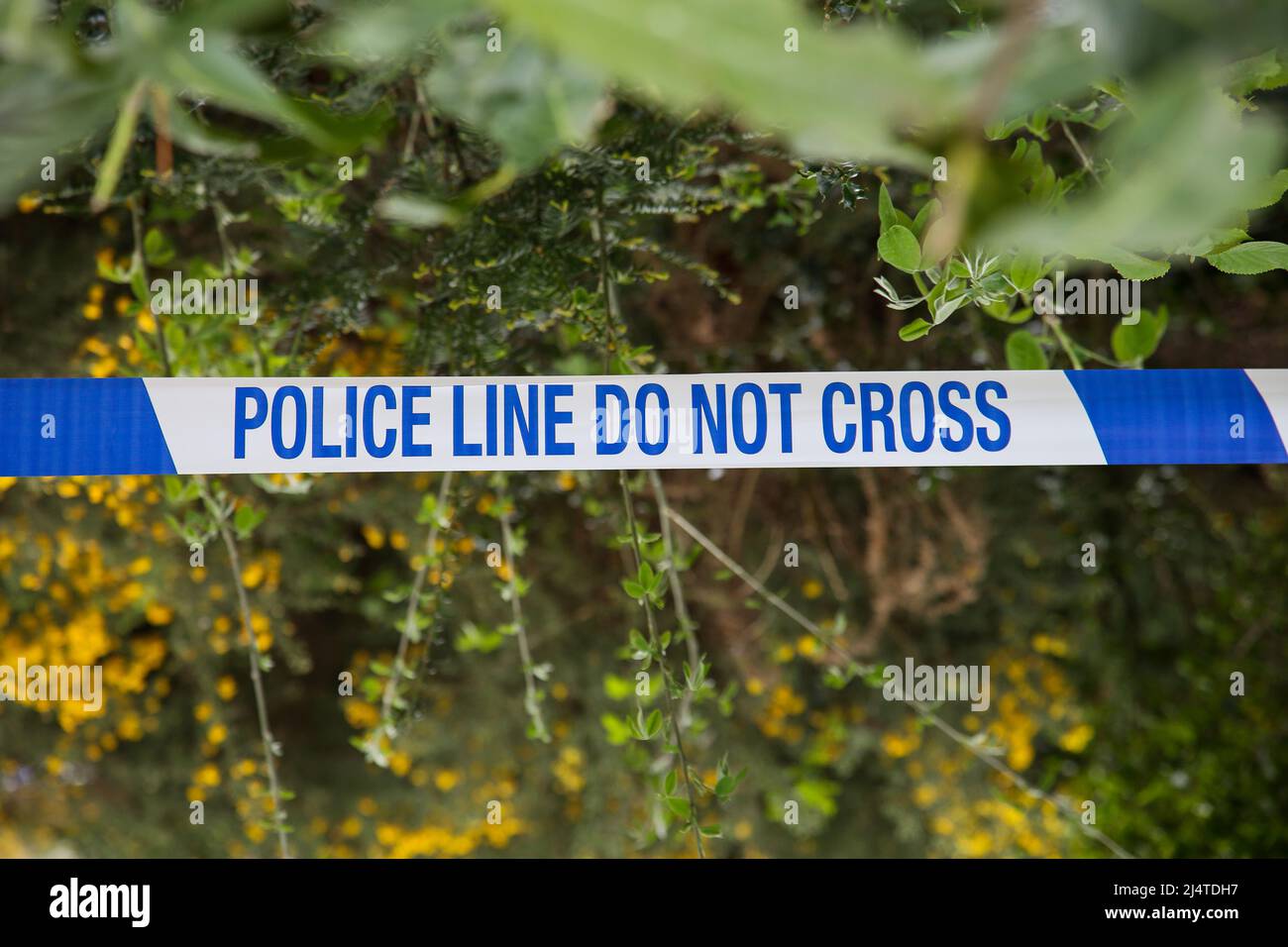 A police tape around a crime scene in London Stock Photo - Alamy