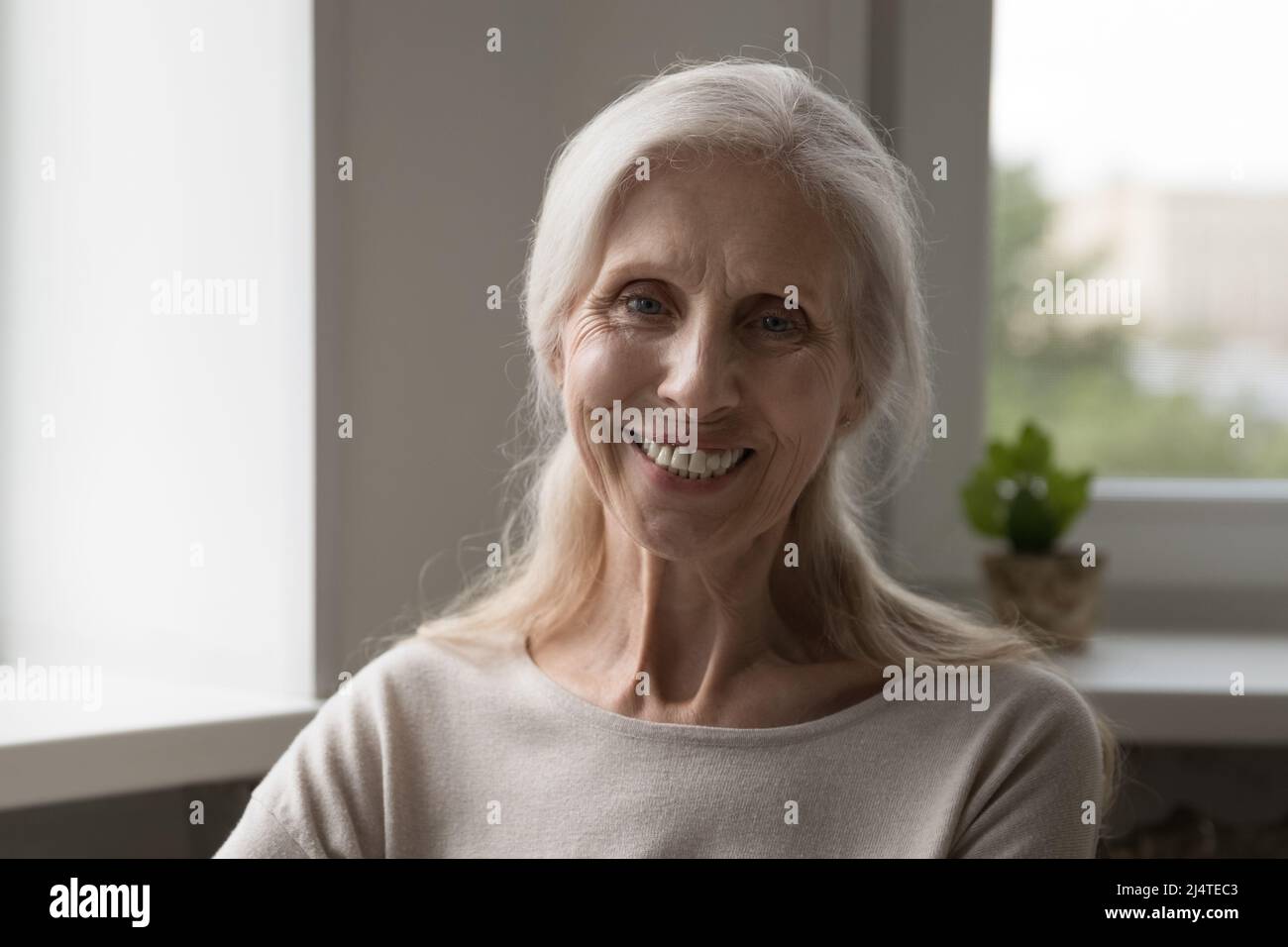 Head shot portrait optimistic grey-haired senior woman pose indoor ...