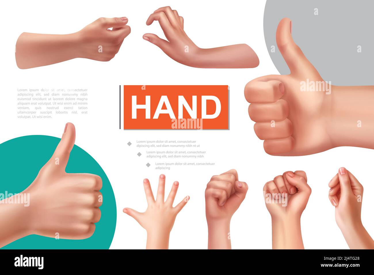Realistic hand gestures composition with female fists okay sign taking ...