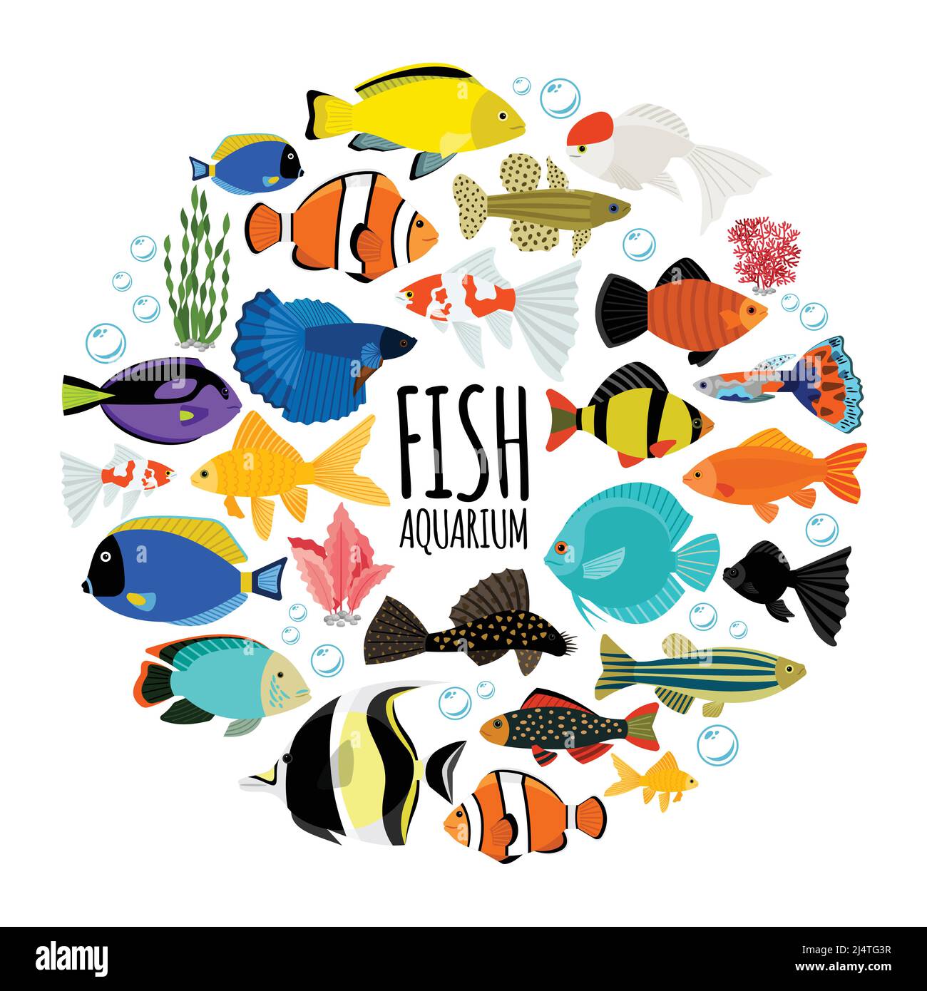 Flat aquarium fishes round concept with colorful saltwater and ...