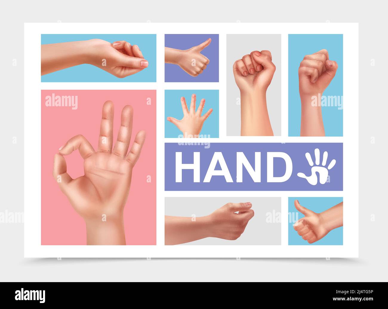 Realistic female hands collection with ok thumb up signs woman fist and ...