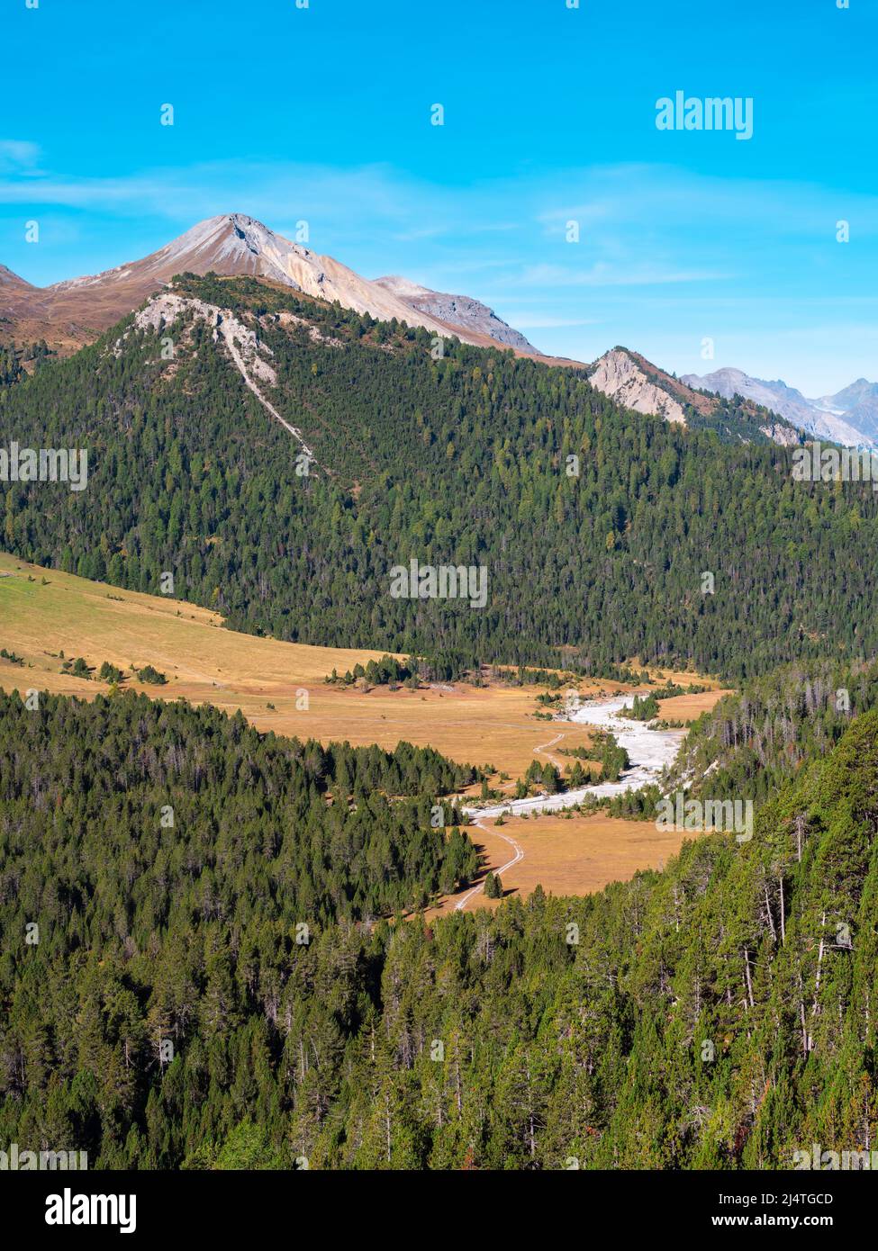 The Swiss National Park is located in the Western Rhaetian Alps, in ...