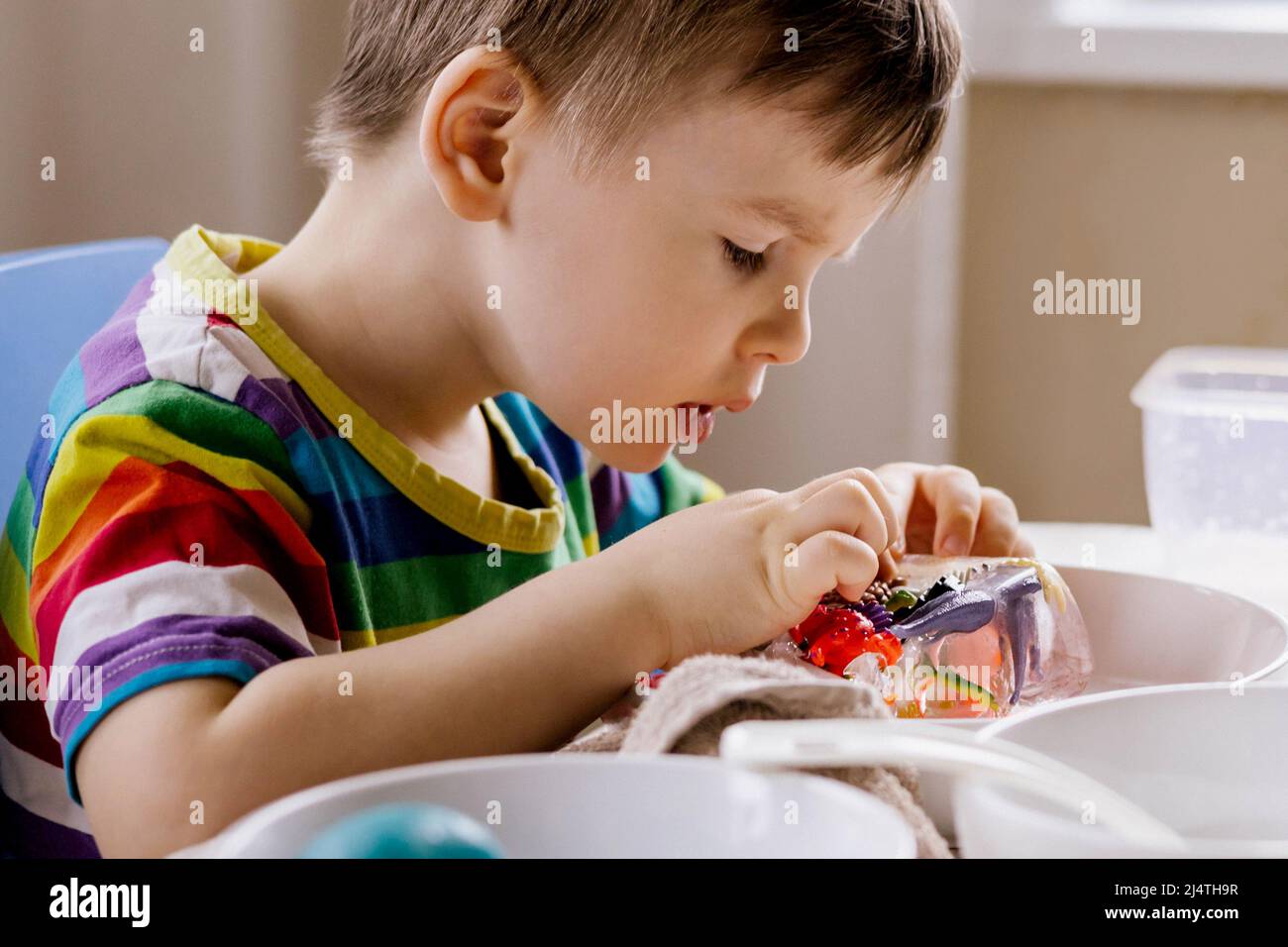 A cute little child pours warm water over toys frozen in ice. Dinosaur ...