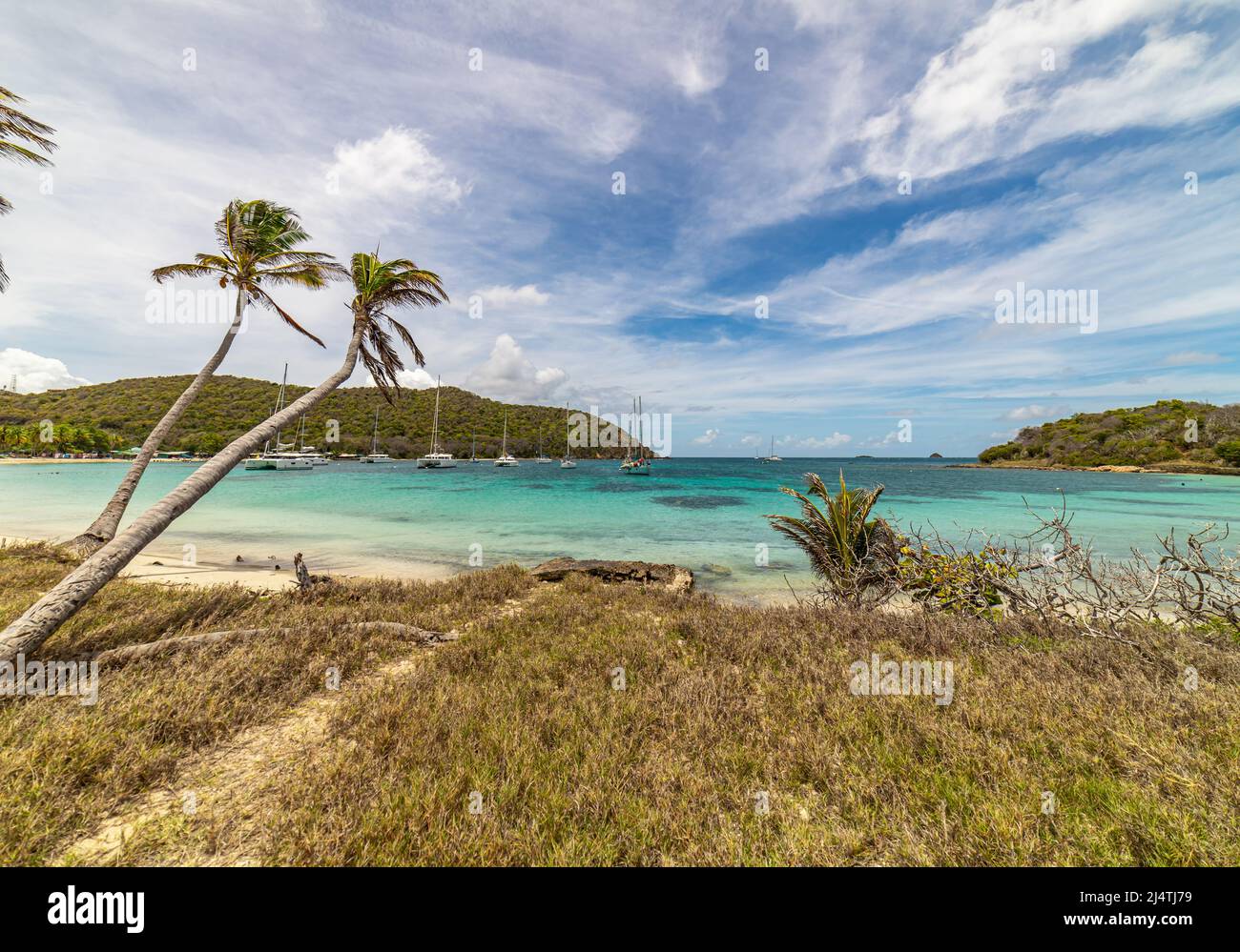 Saint Vincent and the Grenadines, Mayreau, Salt Whistle Bay Stock Photo ...