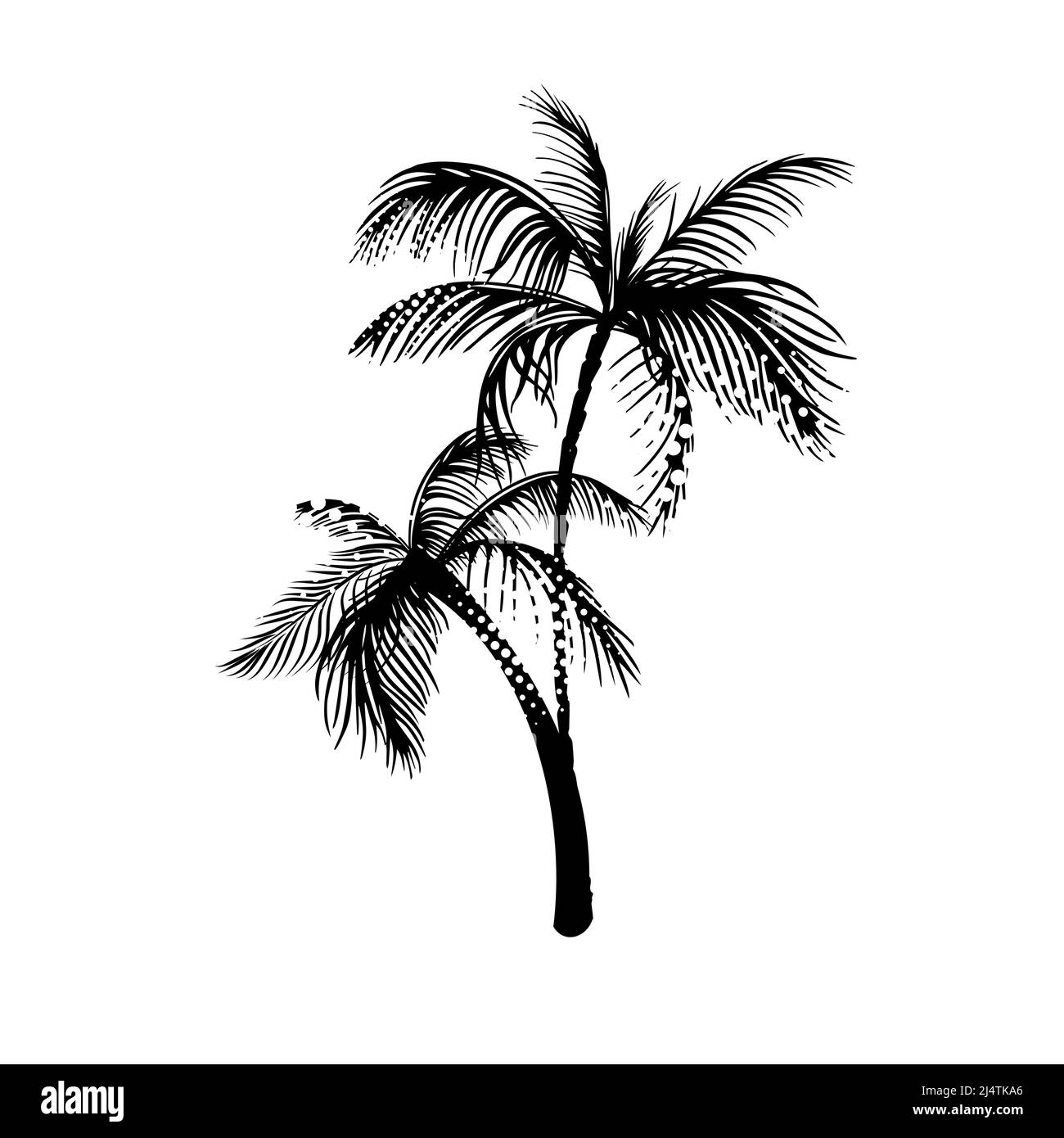Palm object black. Vector illustration Stock Vector Image & Art - Alamy