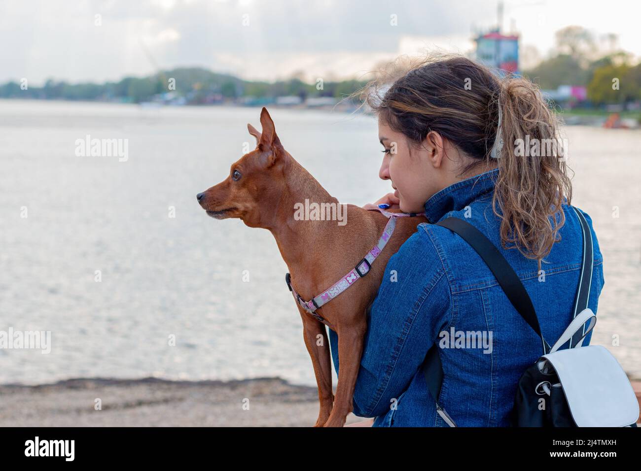 A teenage girl holding a miniature pincher in her arms by the lake ...