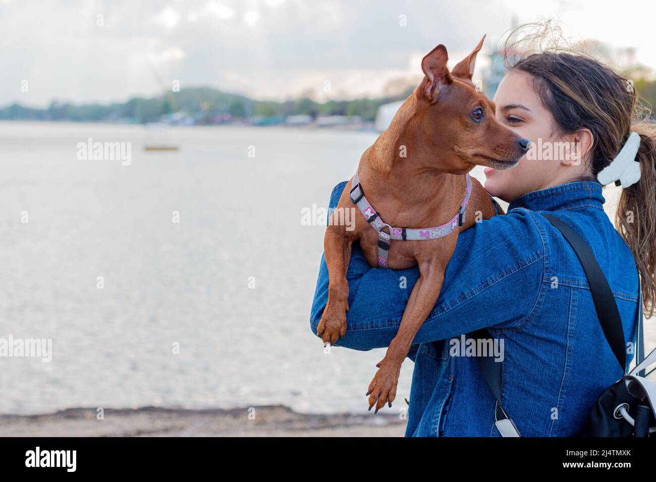 A teenage girl holding a miniature pincher in her arms by the lake ...