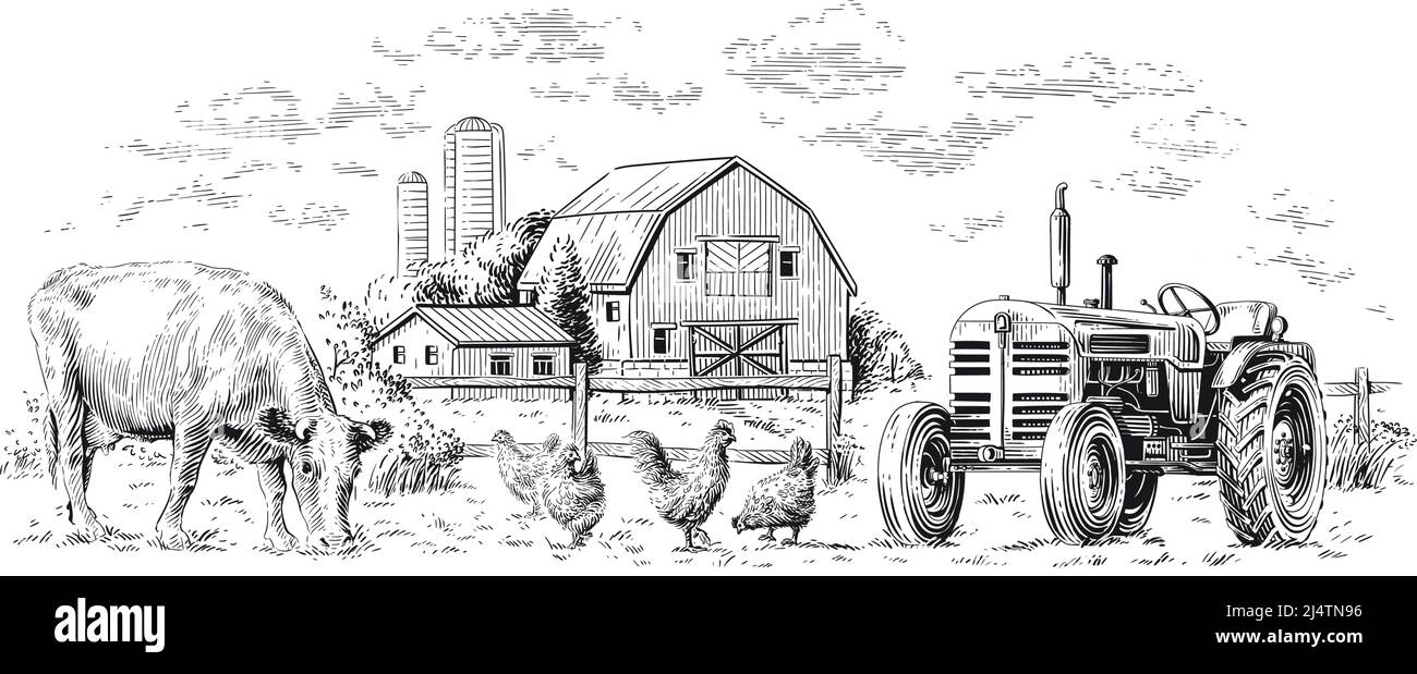 farm hand drawing sketch engraving illustration style vector Stock ...