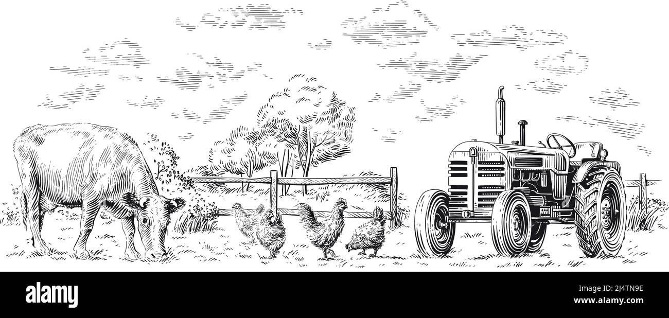 farm hand drawing sketch engraving illustration style vector Stock ...