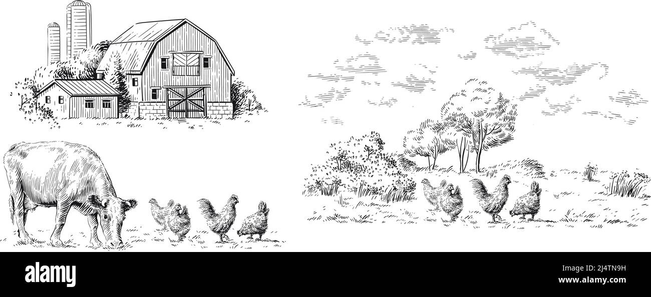 farm hand drawing sketch engraving illustration style vector Stock ...
