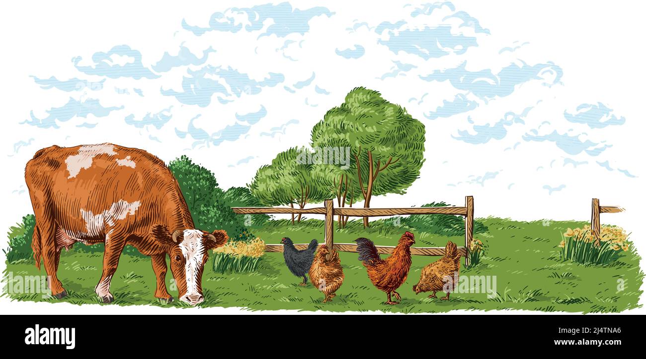 farm hand drawing sketch engraving illustration style vector Stock ...