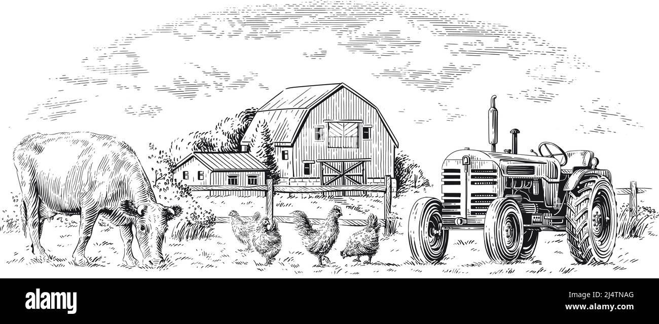 farm hand drawing sketch engraving illustration style vector Stock ...