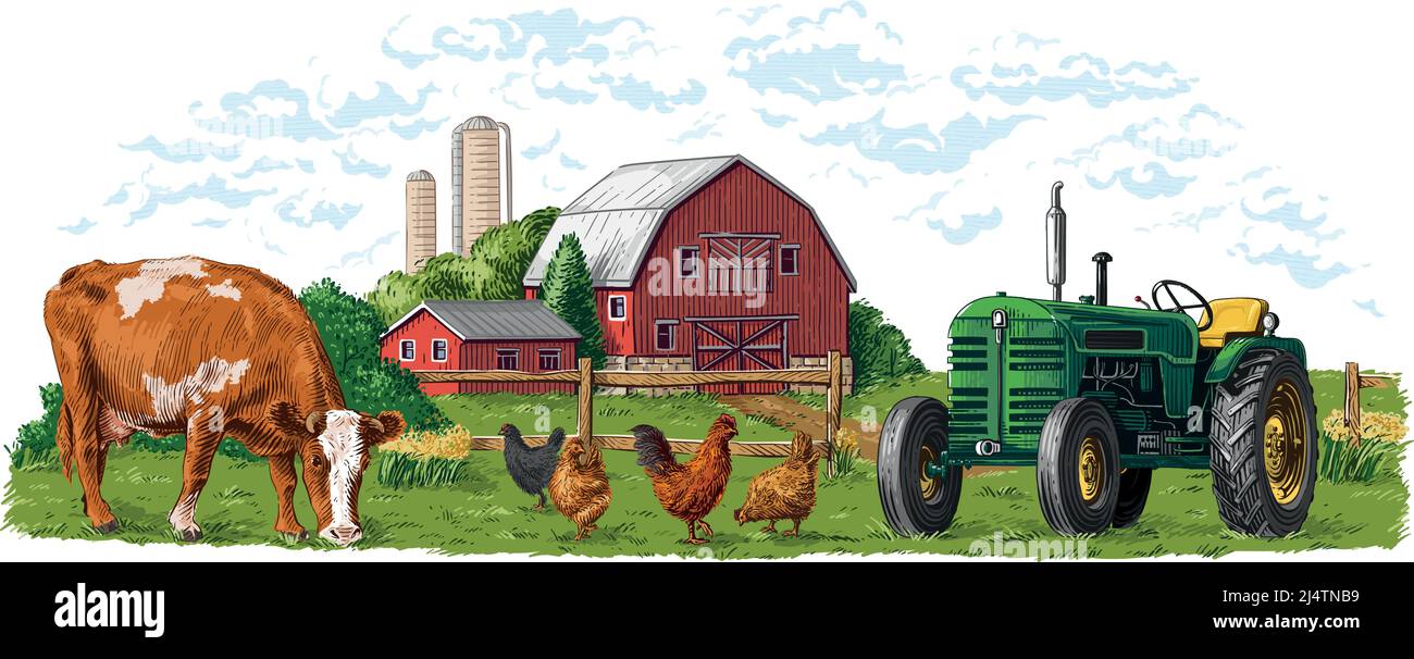 farm hand drawing sketch engraving illustration style vector Stock ...