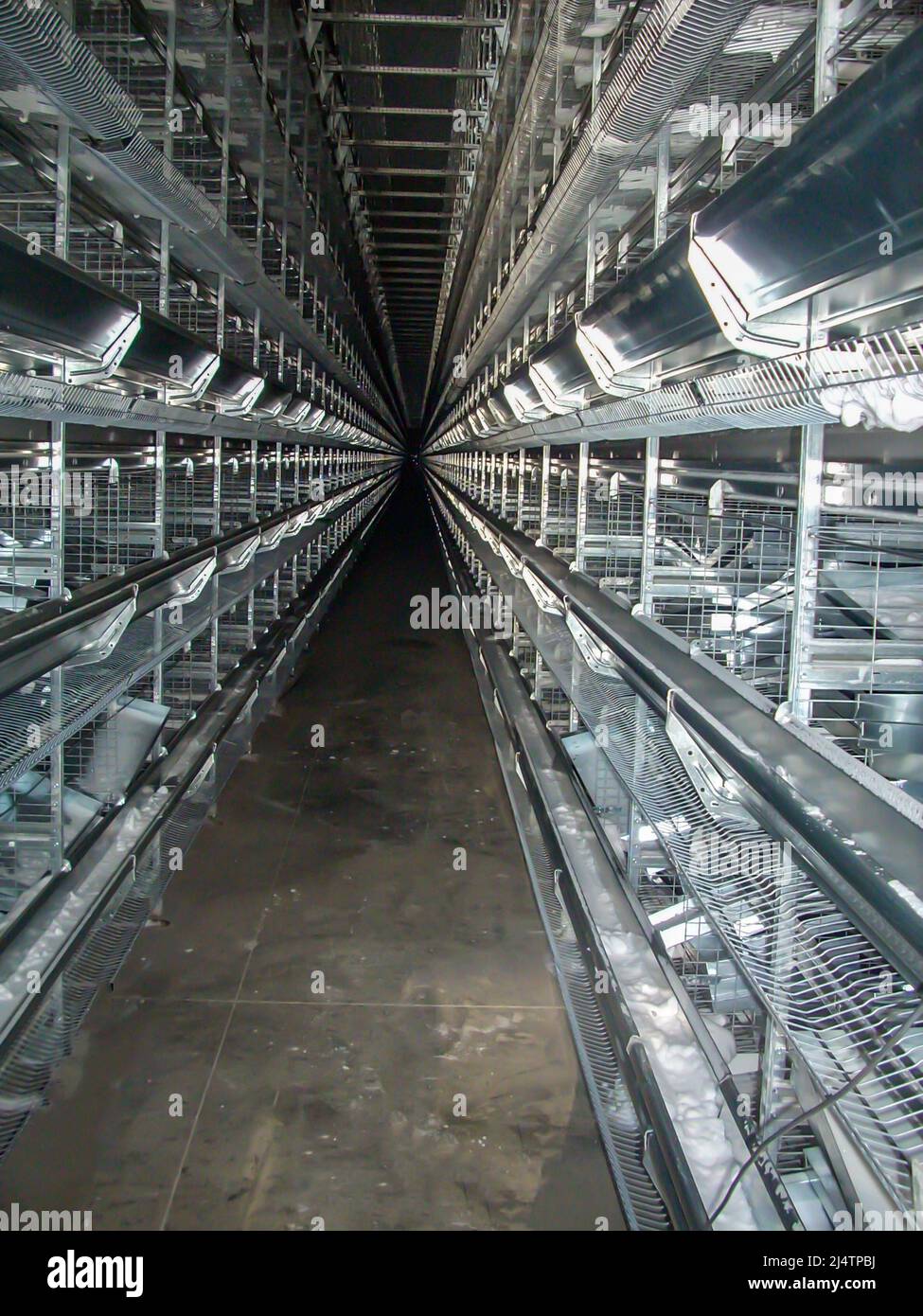 Rows of empty cages from inside an industrial chicken egg layer ...