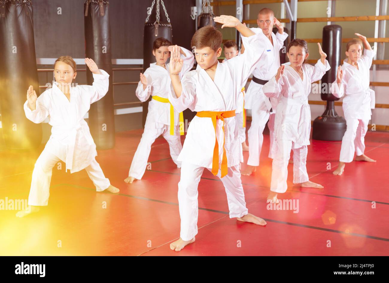 Schoolchilds practicing new technique in karate class Stock Photo - Alamy