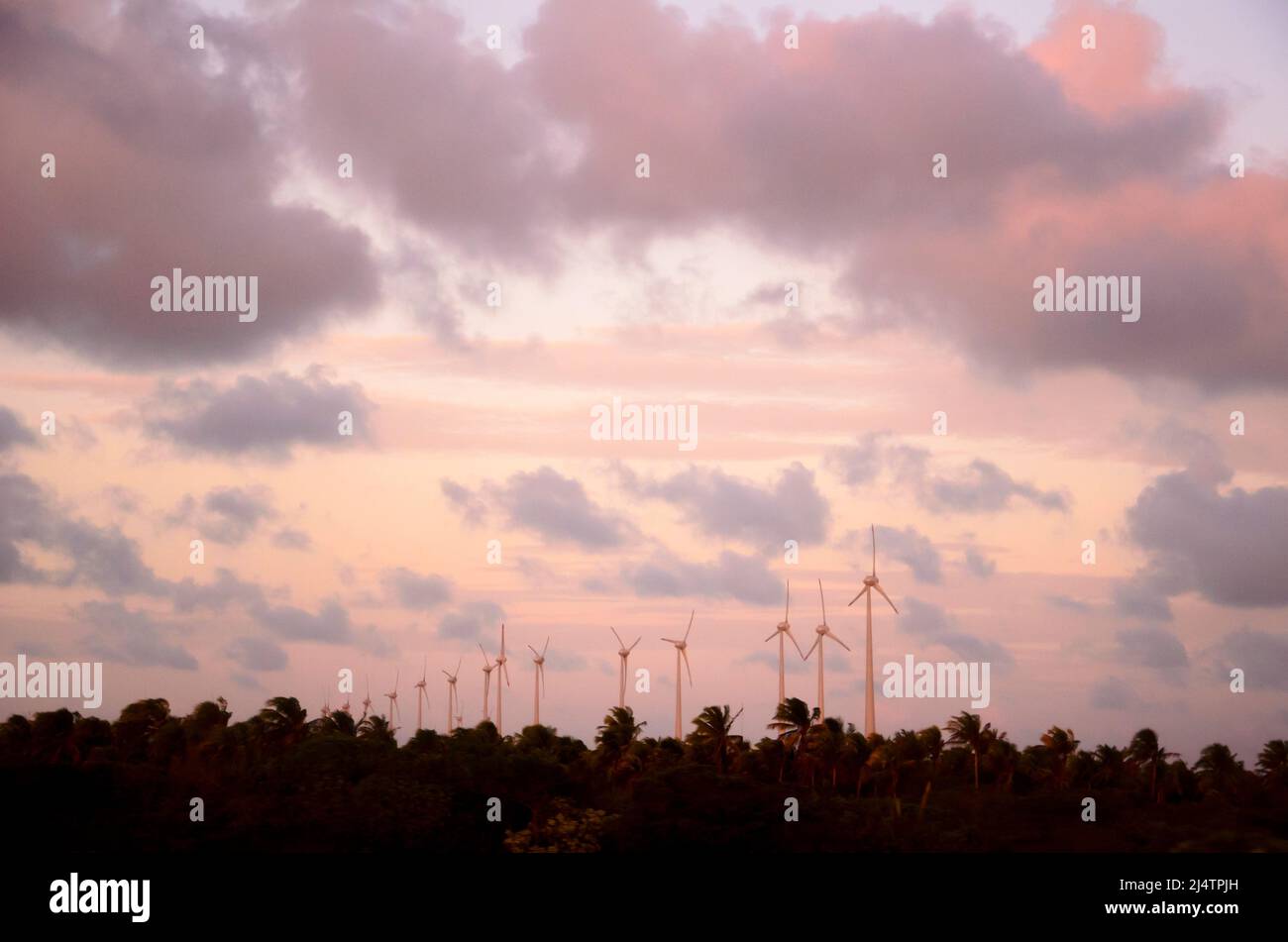 Brazil wind farm hi-res stock photography and images - Alamy