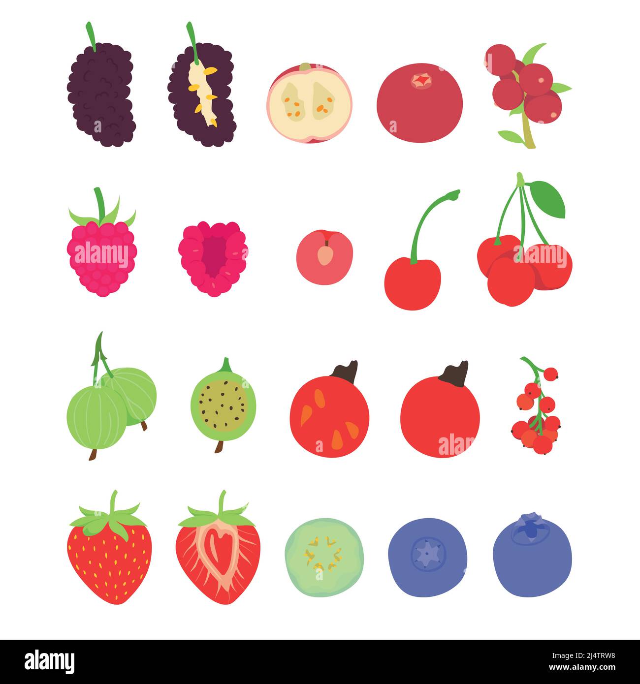 Collection of various hand drawn, flat colored berries, isolated on a ...