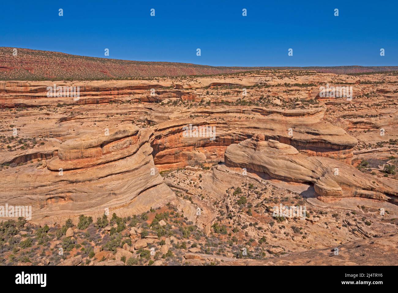 Desert Canyon Cut by a Hidden Stream in Natural Bridges National Park ...