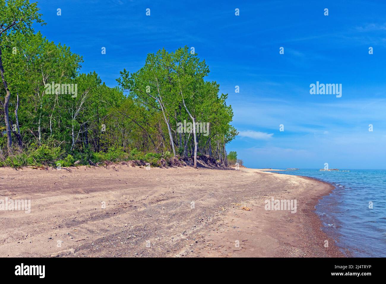 Forested Sandy Beach on the Great Lakes on Lake Erie at Presque Isle ...