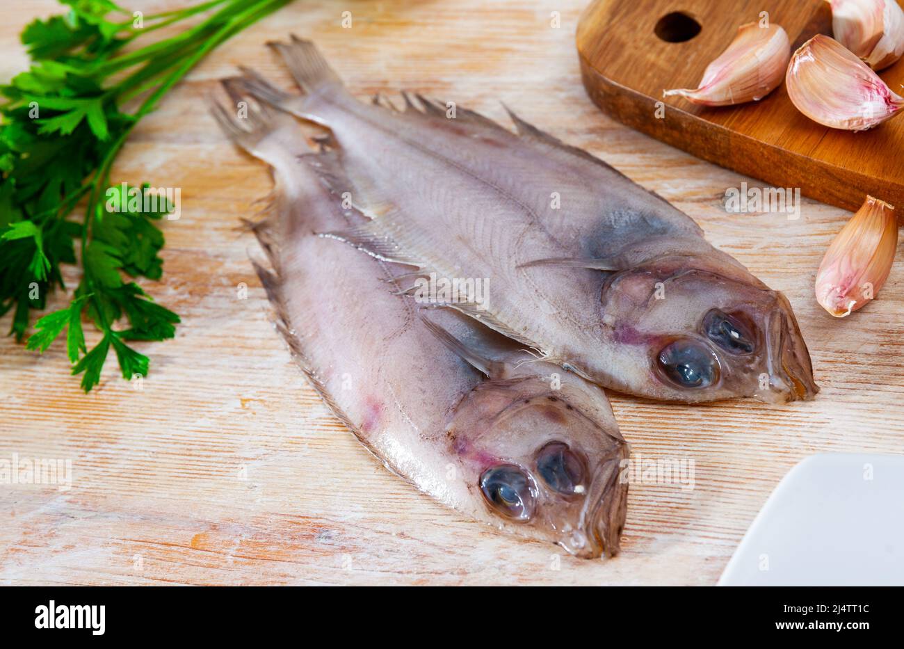 Roosterfish hi-res stock photography and images - Alamy