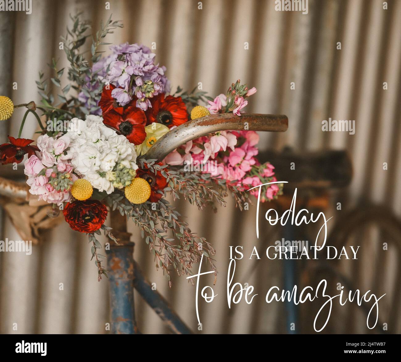 Daily affirmations hi-res stock photography and images - Alamy