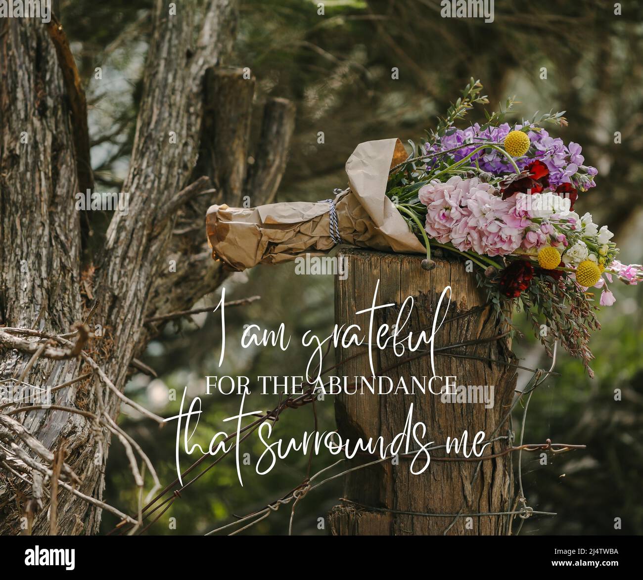 Daily affirmations hi-res stock photography and images - Alamy