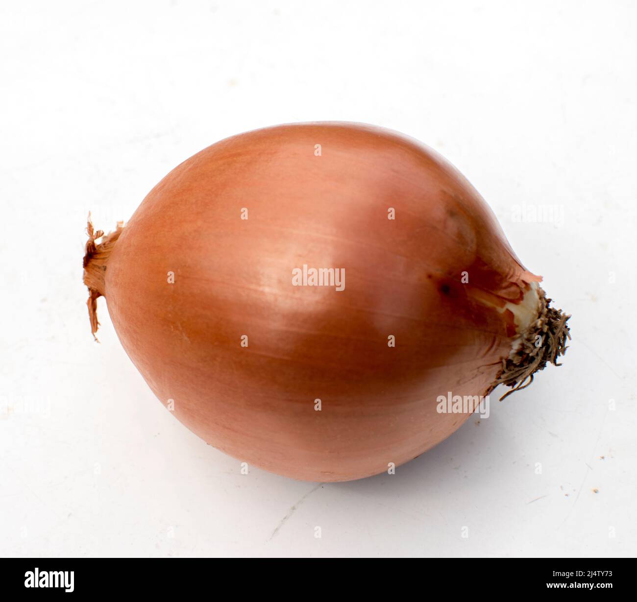 one onion isolated on a white background Stock Photo - Alamy