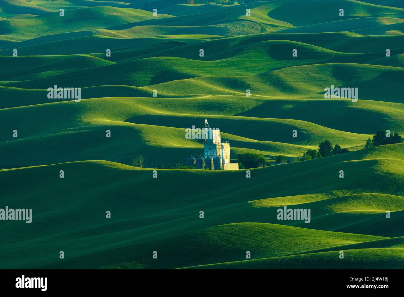 Steptoe Butt State Park Stock Photo - Alamy