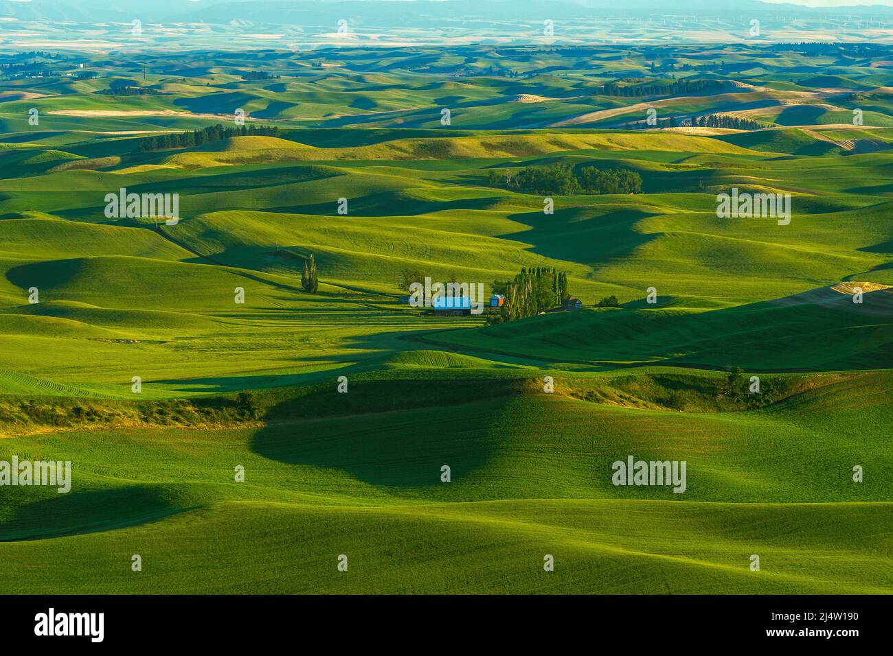 Steptoe Butt State Park Stock Photo - Alamy