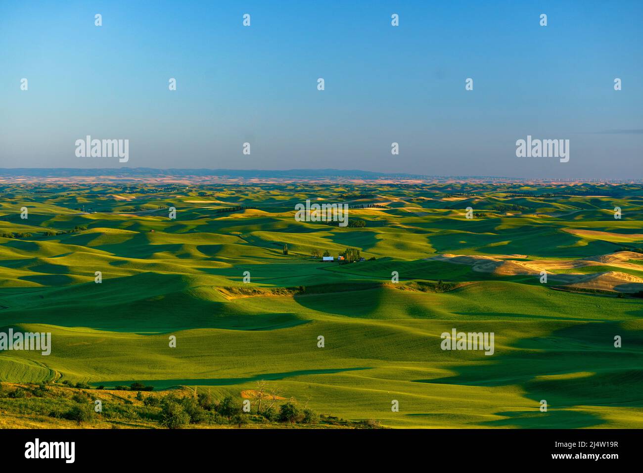 Steptoe Butt State Park Stock Photo - Alamy