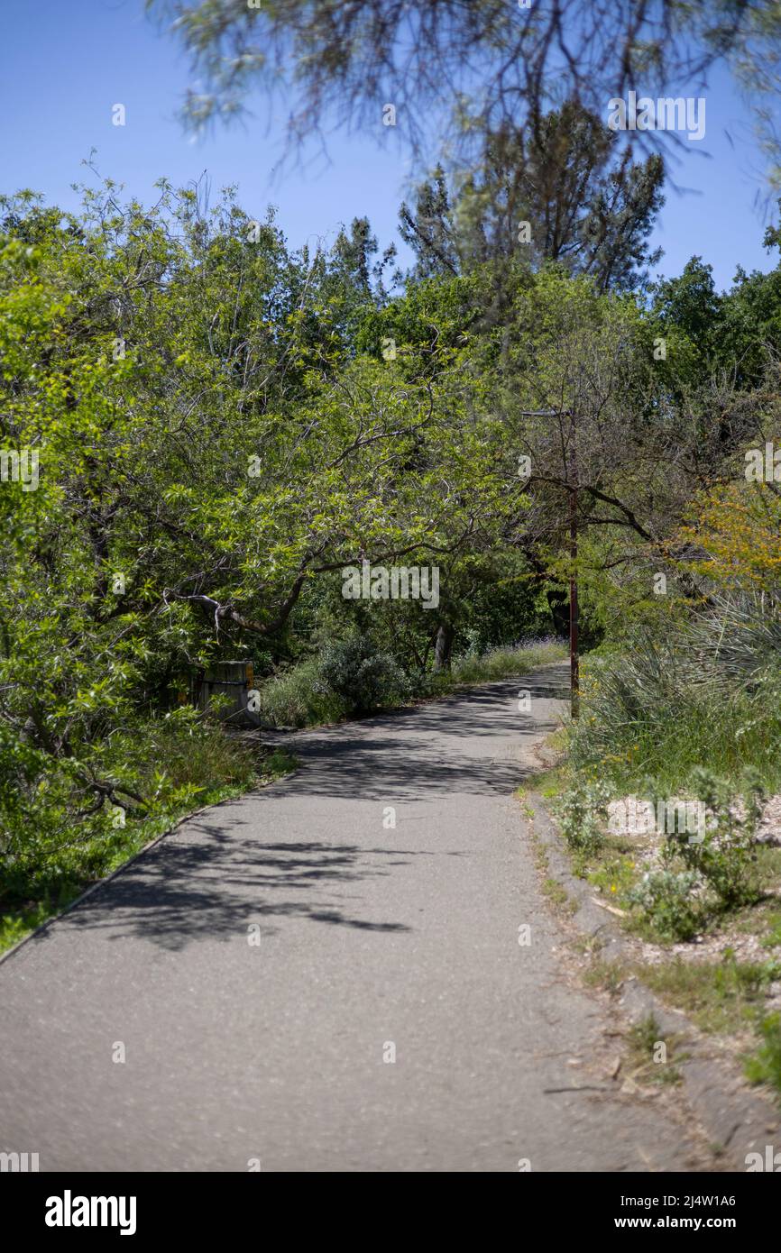 UC Davis Arboretum Stock Photo - Alamy