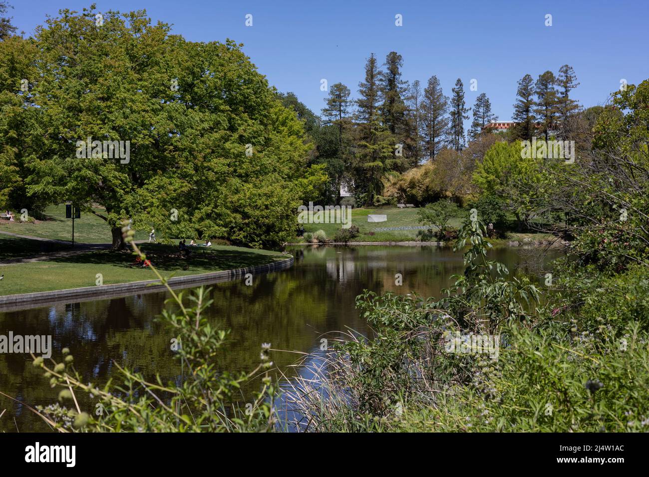 UC Davis Arboretum Stock Photo - Alamy