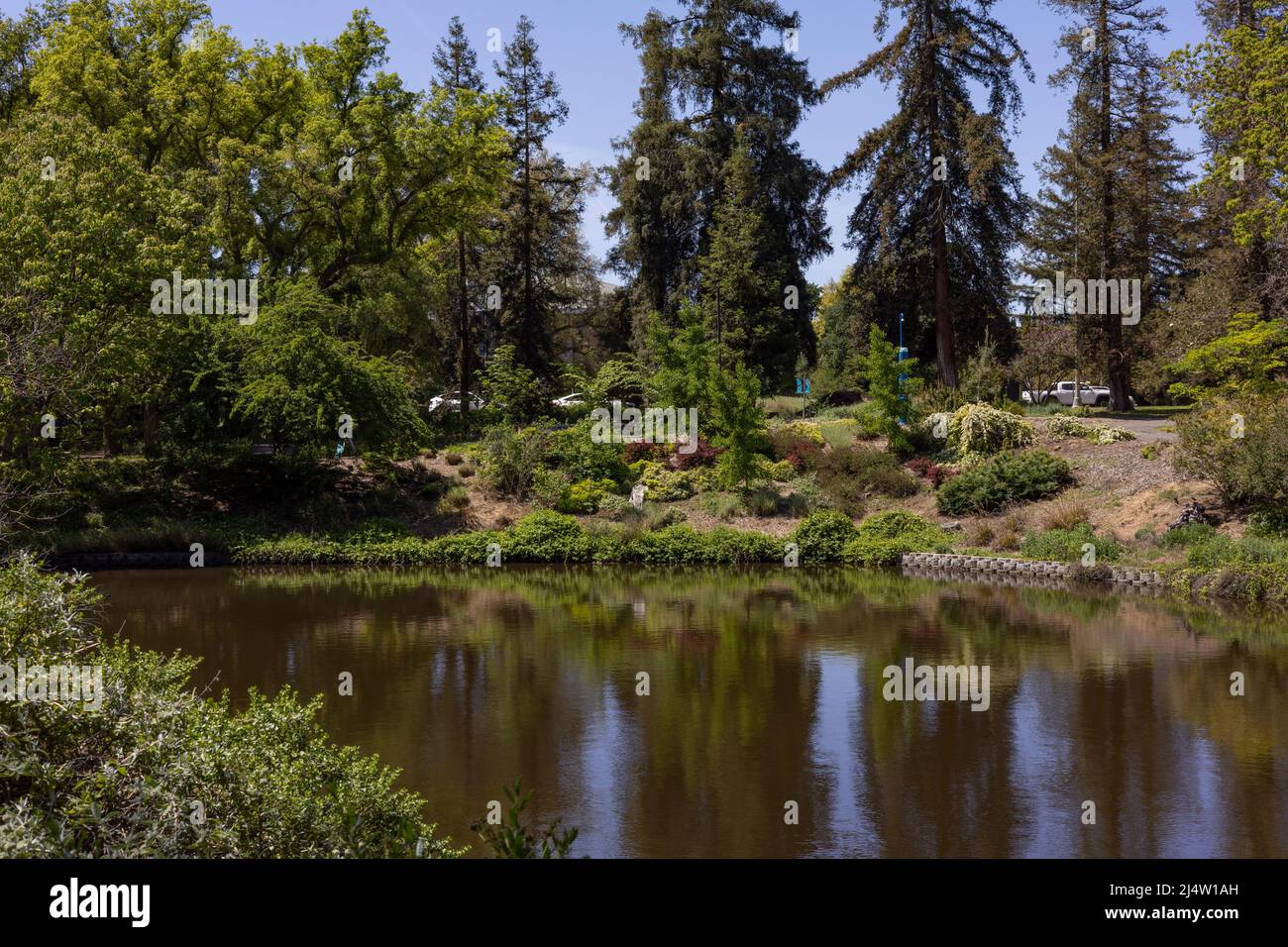 UC Davis Arboretum Stock Photo - Alamy