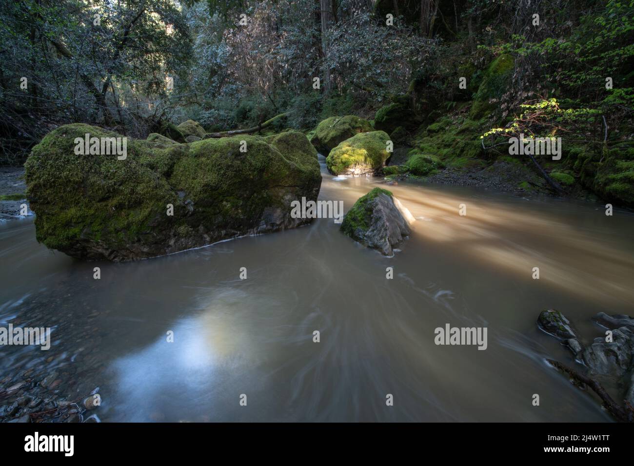Freshwater river flowing over mossy hi-res stock photography and images ...