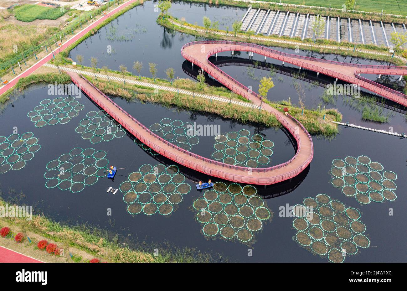 HAIAN, CHINA - APRIL 18, 2022 - Sanitation workers protect aquatic ...