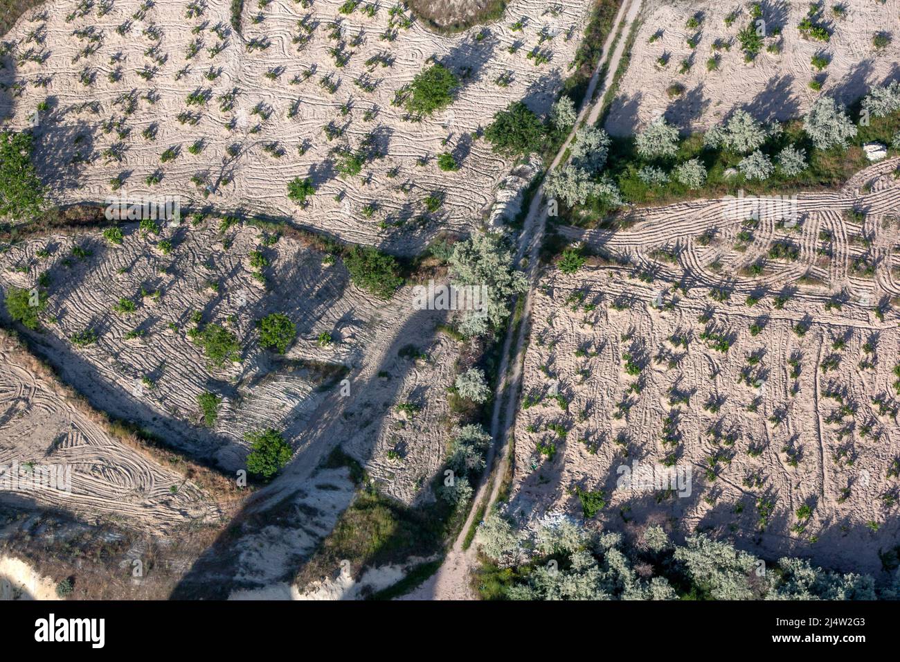 A pattern of ploughing furrows in a vineyard at Cavusin in the ...