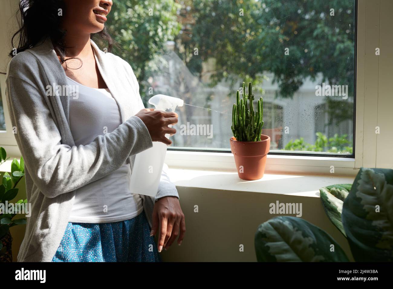Smiling woman spraying cactus on window sill in her apartment Stock ...