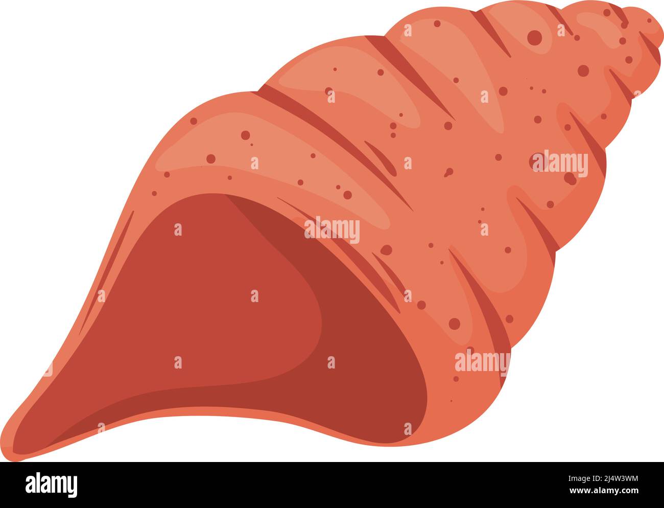 red sea shell Stock Vector Image & Art - Alamy