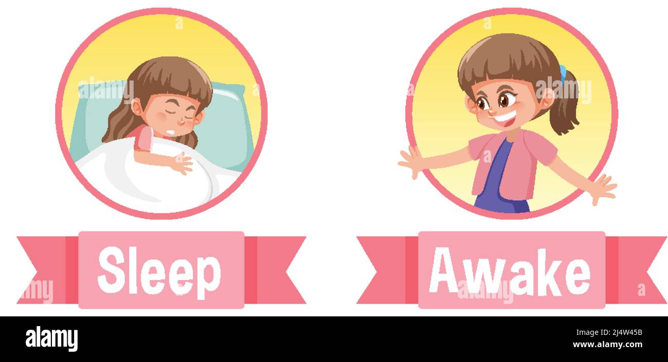 Instructional material vector vectors hi-res stock photography and ...