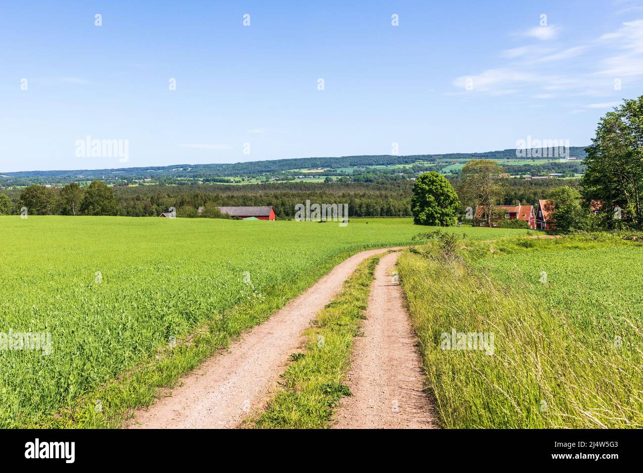 Grass shoulder road in the countryside Stock Photo - Alamy