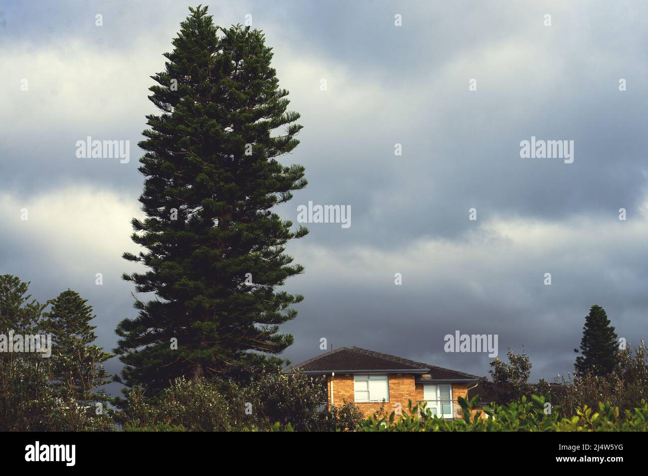 Cloudy morning landscape Stock Photo - Alamy