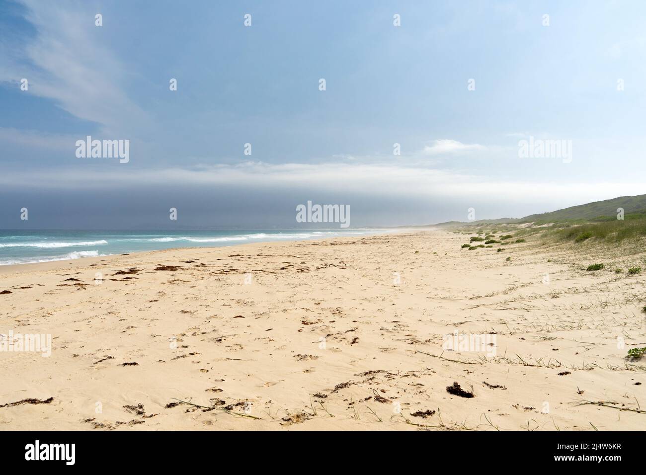 Anna bay new south wales hi-res stock photography and images - Alamy