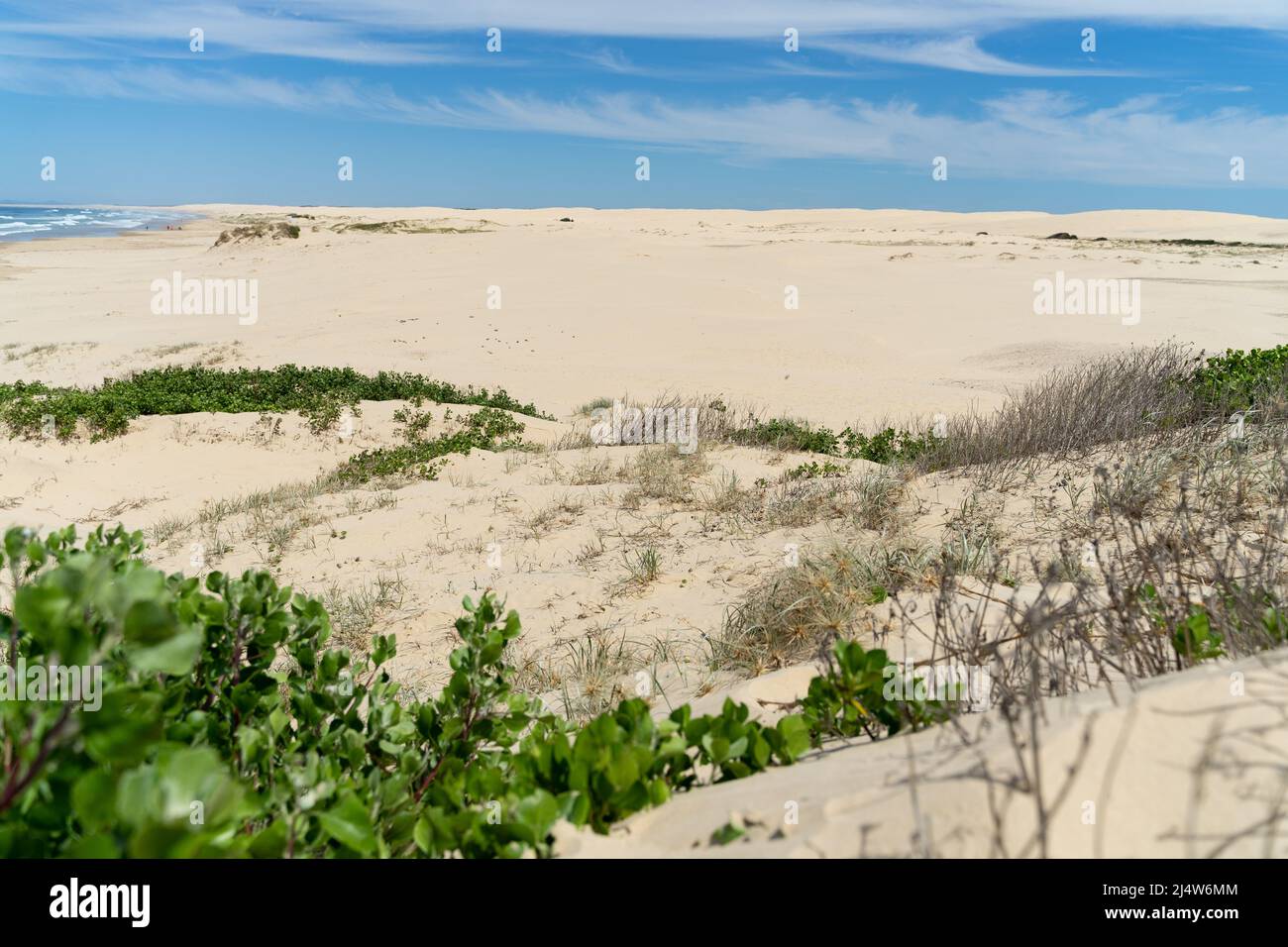 Sand Dunes Anna Bay, Australia Stock Photo - Alamy