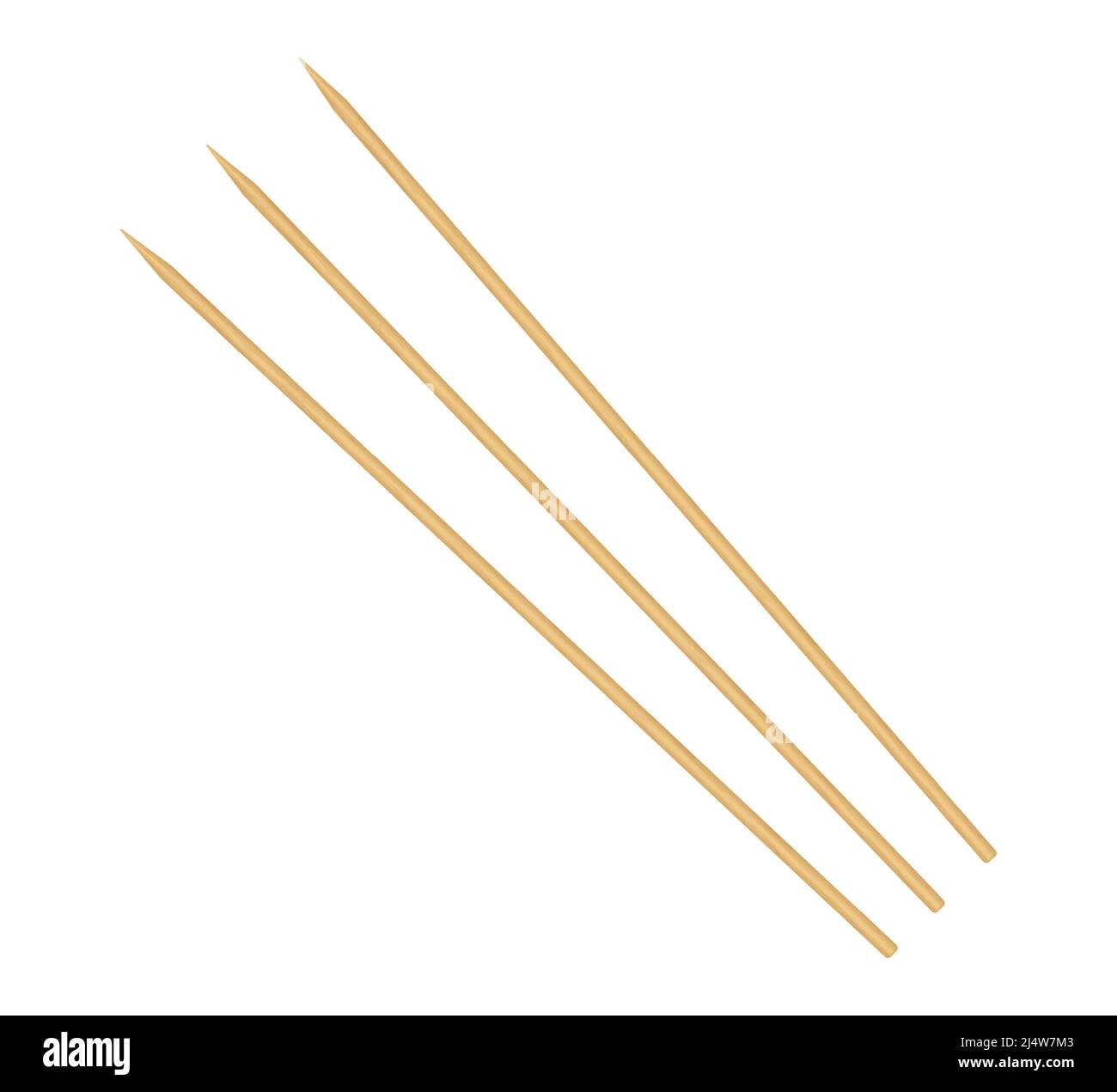 Wooden skewer with pointed tip. Disposable bamboo thin long skewer ...