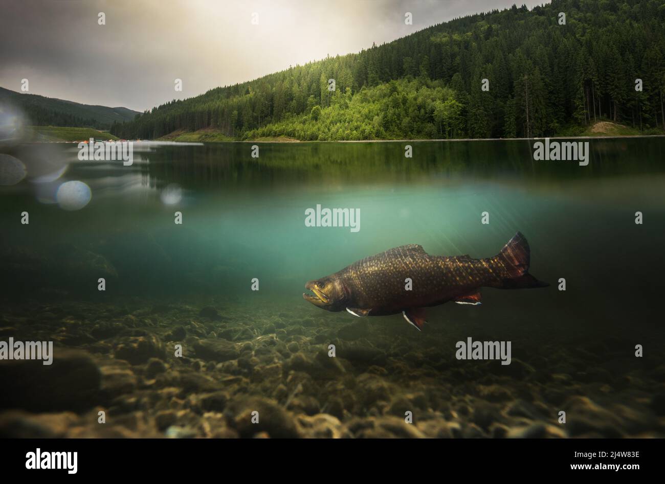 Char area hi-res stock photography and images - Alamy