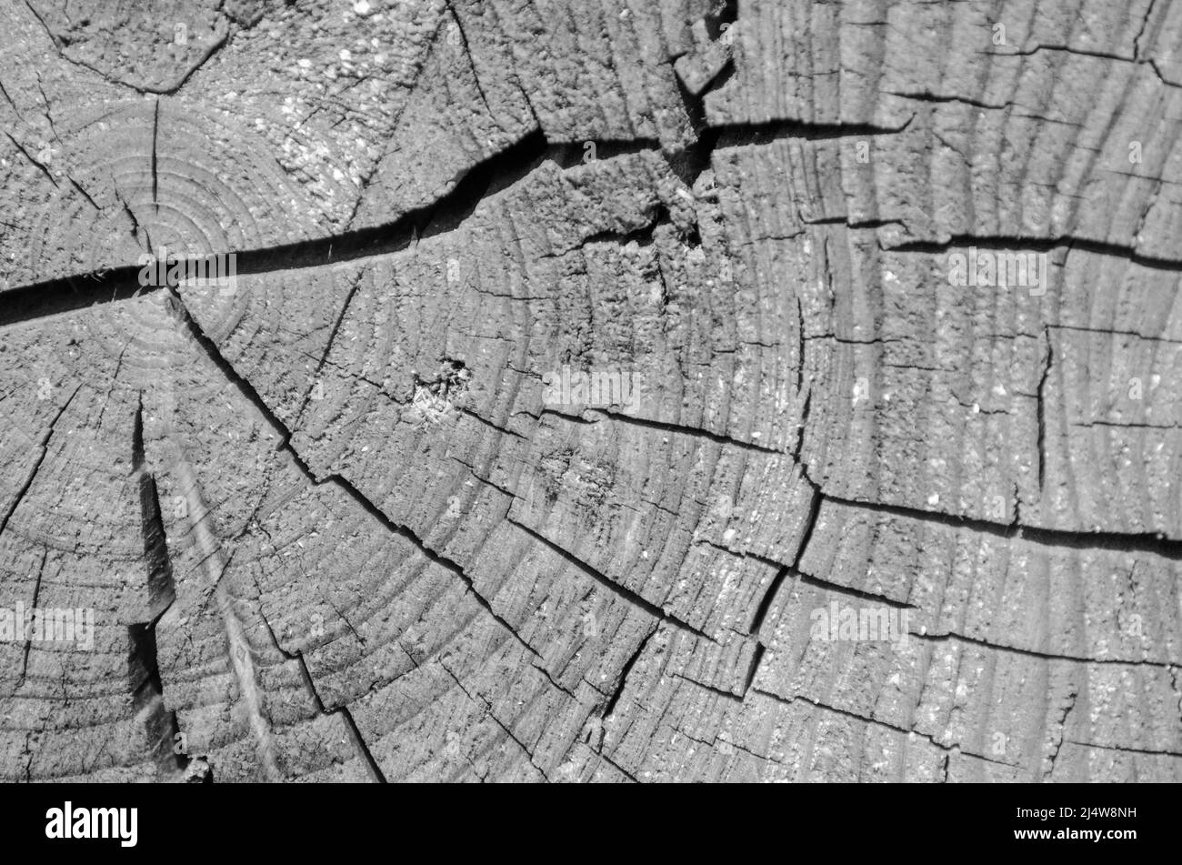 Fissure fissures Black and White Stock Photos & Images - Alamy