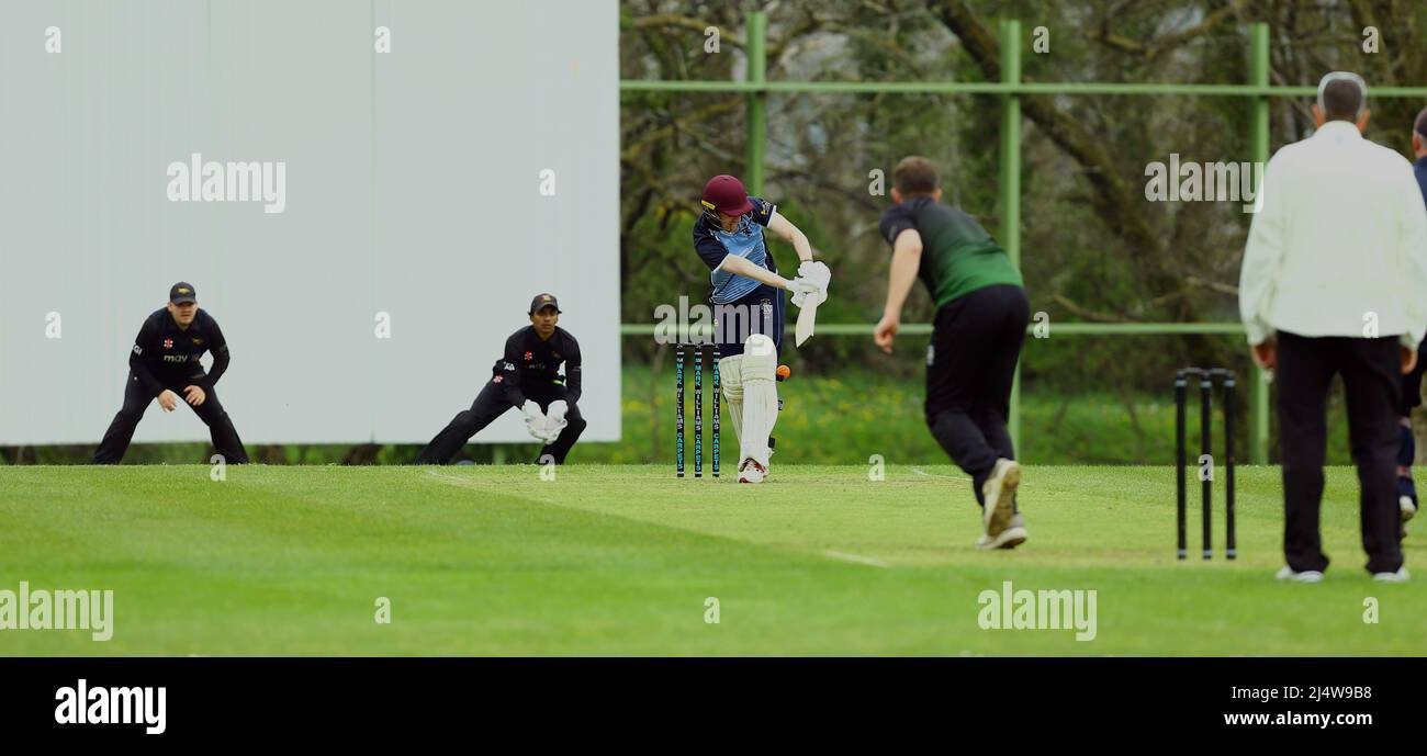 Bronwydd cc hi-res stock photography and images - Alamy