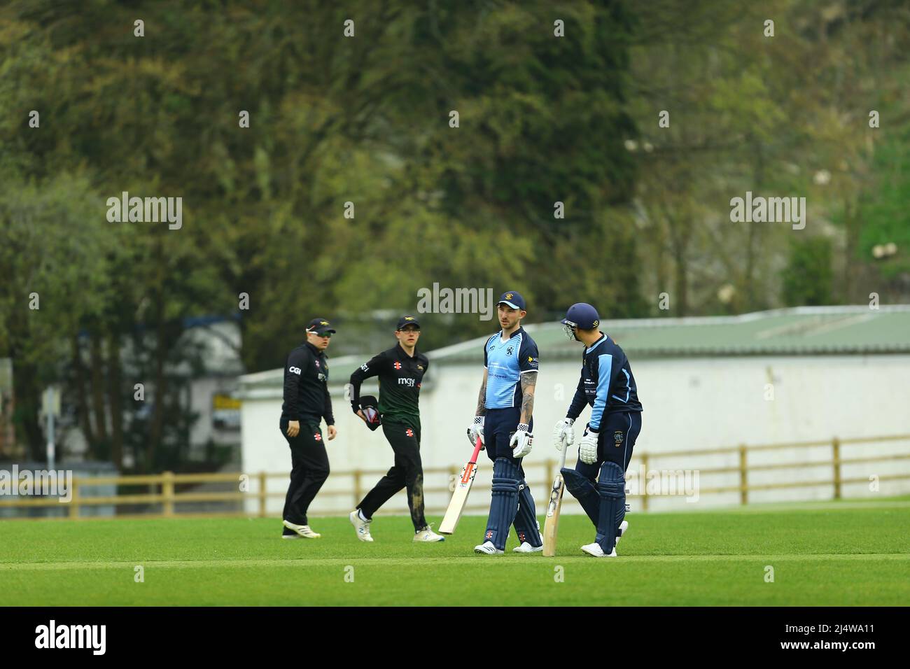 Bronwydd cc hi-res stock photography and images - Alamy