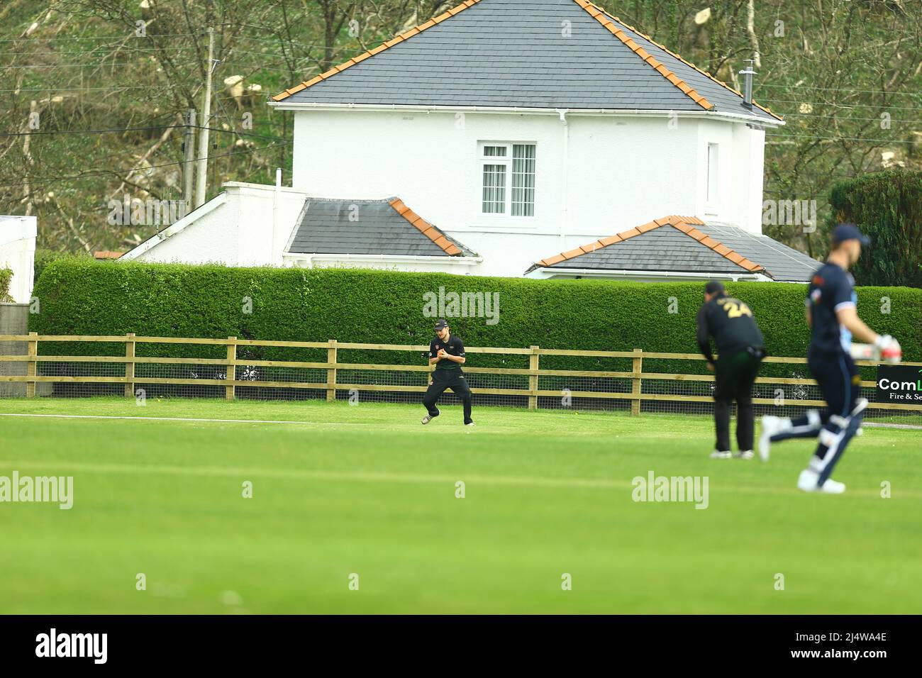 Bronwydd cc hi-res stock photography and images - Alamy